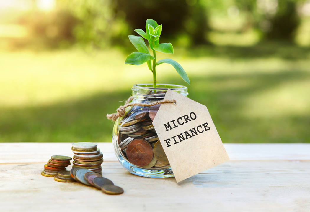 Microfinance Company in Tamilnadu | Chaitanya